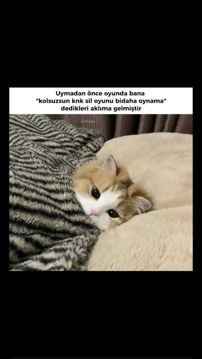 Ah Be Abİ Ah Be Mobile Legends Youtube