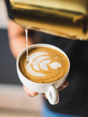 Toco Madera Coffee Lab Pereira Menu Prices And Restaurant Reviews