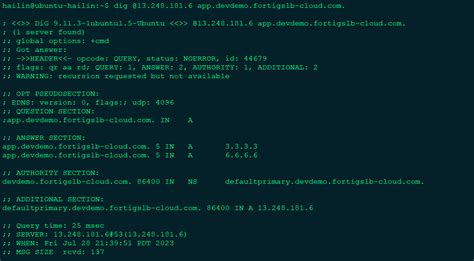 Anycast Migration For Global Dns Service Fortiappsec Cloud Fortinet