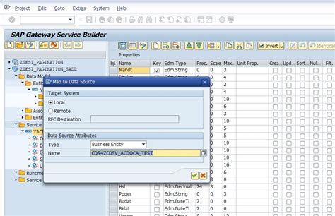 Creating Odata Api Based On A Mapped Data Source Sap Community