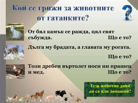 Селскостопански животни Ppt