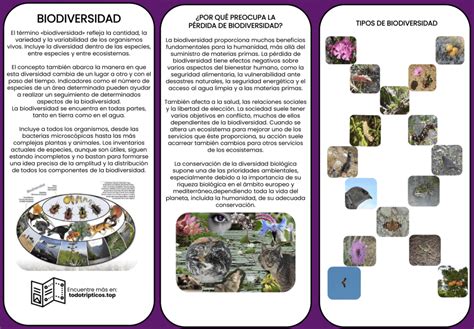 Triptico Biodiversidad Biodiversidad Ciencias De La