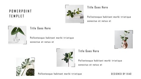 Free Floral Spring Powerpoint Template Just Free Slide