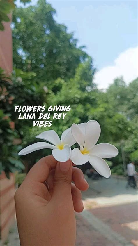 Flowers Giving Lana Del Rey Vibes Flowers Lana Del Rey Lana Del