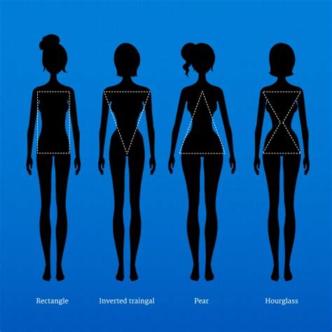 Female Body Shapes And Types Royalty Free Vector Image