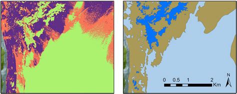 A Generalized Semiautomated Method For Seabed Geology Classification Using Multibeam Data And