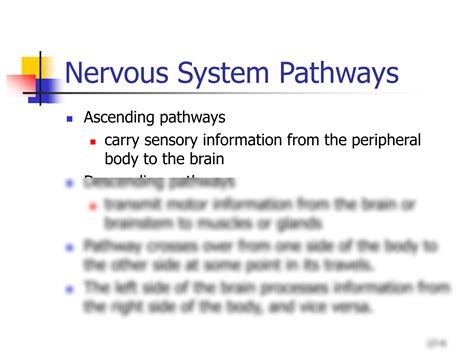Solution Ch09 D Pathways Integrative Functions Studypool