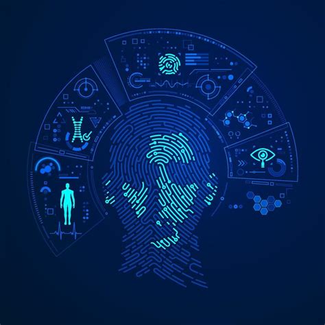 Face Detection Interface 23079998 Vector