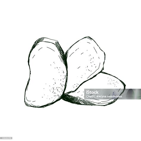 생강 뿌리 조각 신선한 조미료 평면도 그래픽 흑백 일러스트 스케치 낙서 인쇄 및 웹 디자인 0명에 대한 스톡 벡터 아트 및 기타 이미지 0명 건강한 식생활 공예
