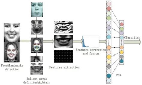 How Facial Recognition Systems Work And Key Applications