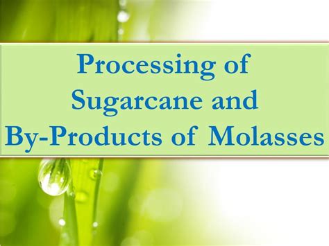 Molasses Process Meaning At Wilfred King Blog