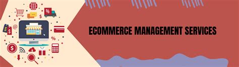 Professional E Commerce Management Service EdataInfinity