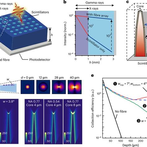 Hemispherical Dosimeters For X Ray And Gamma Ray Detection With Download Scientific Diagram