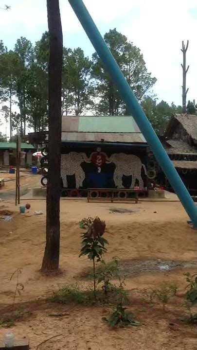 សាលាដូង គីរីរម្យ Youtube