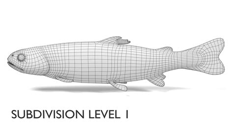 3d Model Trout