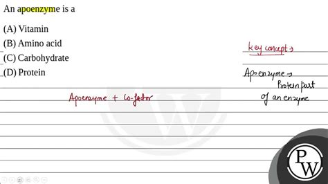 An Apoenzyme Is A Youtube