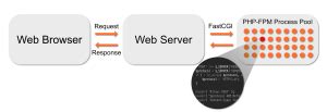 A Comprehensive Guide To PHP FPM TezHost