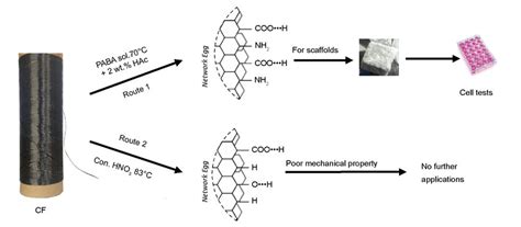 Diagram Of Cfs Modification Process Applied In The Work Download