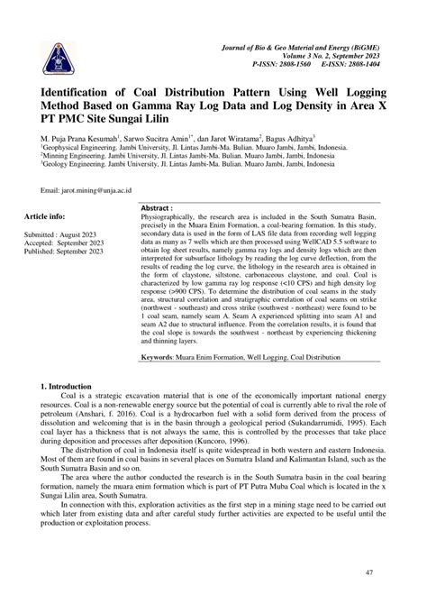 pdf identification of coal distribution pattern using well logging