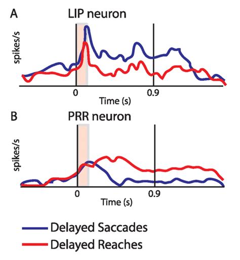 Table 1 From Cortical Oscillatory Activity In Human Visuomotor Integration Semantic Scholar