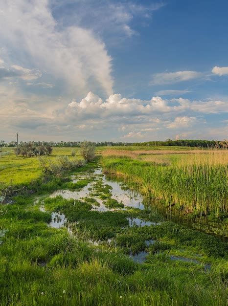 Premium Photo Green Grass River And Clouds