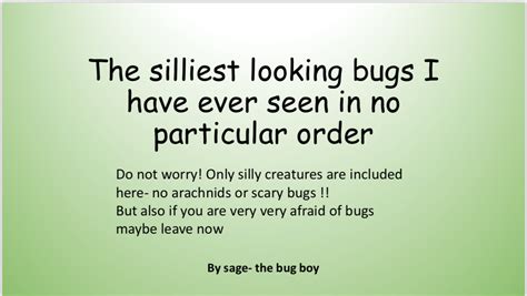 The Silly Bug Slideshow I Made For A Powerpoint Night With My Friends Thought It Would Be