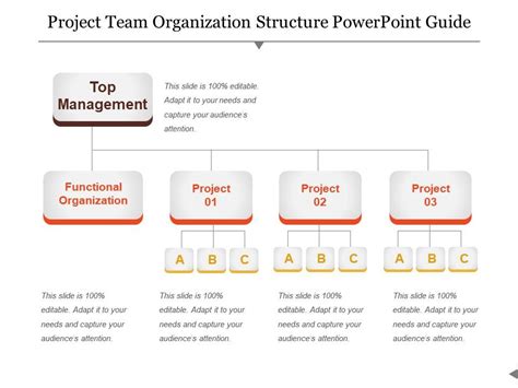 Project Team Organization Structure Powerpoint Guide PowerPoint Presentation Designs Slide