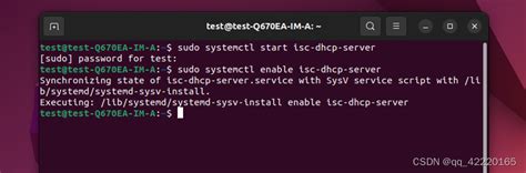 ubuntu 22 04下配置dhcp ubuntu dhcp csdn博客