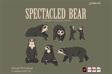 Spectacled Bear Clipart Set Graphic By Sw1co Design · Creative Fabrica
