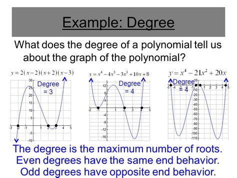 Basics Of A Polynomial Ppt Video Online Download