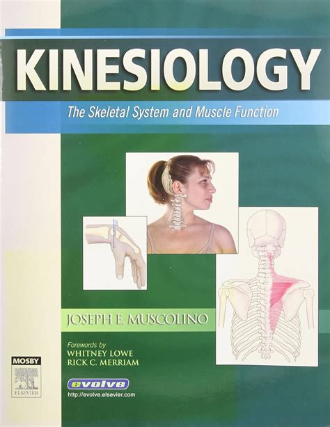 Kinesiology 3 Volume Set With Flash Cards Joseph E Muscolino
