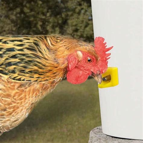 Chicken Waterer Cups 20 Set Horizontal Chicken Nipples Waterer