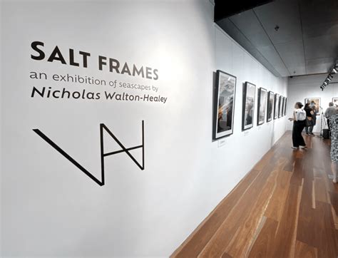 Nicholas Walton Healey Salt Frames Wotwedid
