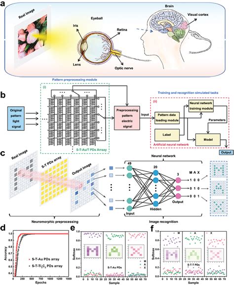 Image Recognition Of The Flexible Artificial Neural Network Ann Based Download Scientific