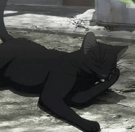 Cat Anime Cat  Cat Anime Cat Discover And Share S