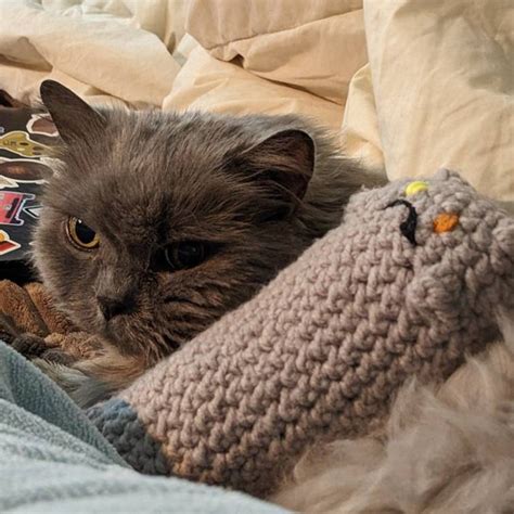 Long Cat Amigurumi Pattern Bundle Squishy Long Kitty Plushie Cat Stress Pillow Crochet