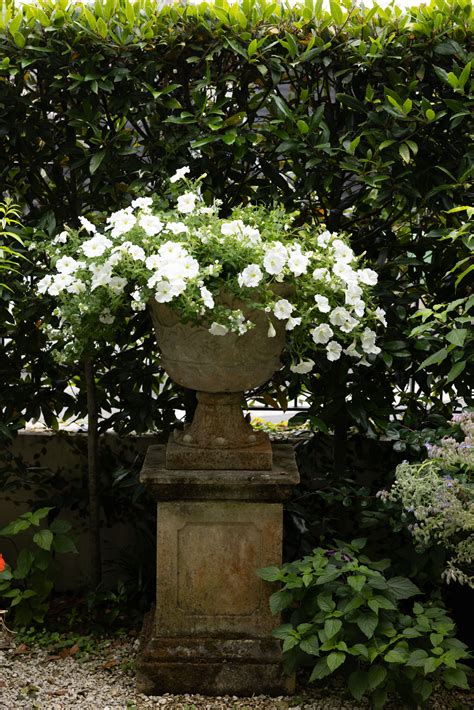 Discover 900 Classic Containers And Garden Inspiration Ideas Outdoor