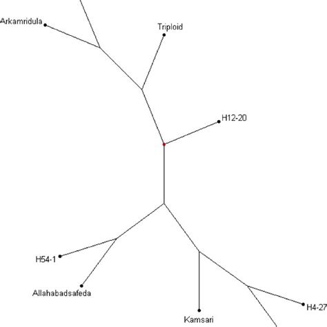 dendrogram generated using neighbor joining nj method of darwin