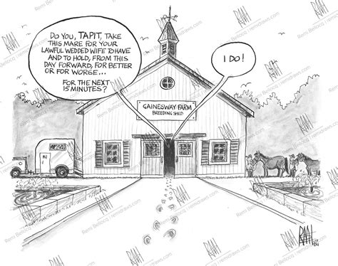 Tapit Wedding — Remi Draws