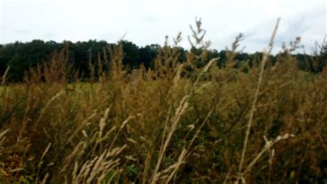 Tructor Free Stock Video Footage Royalty Free 4k And Hd Video Clip