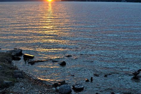 Morning Noon Night How Sweet Eats