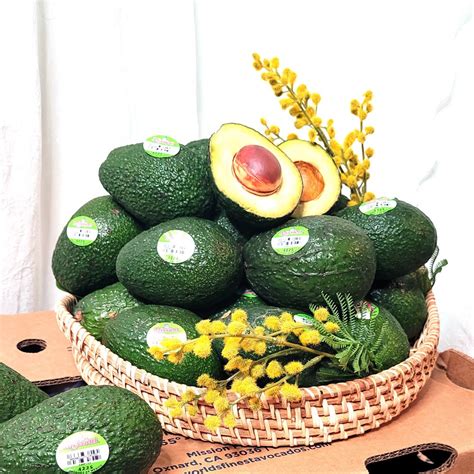 고품질 생 아보카도 중과 10개입 수입과일 인천광역시 남동구 간석4동 비즈프로필