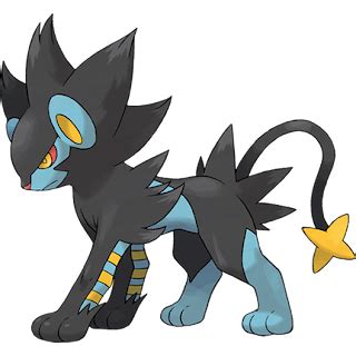 Tips Melatih Pokemon Shinx Dan Evolusinya Pokemology