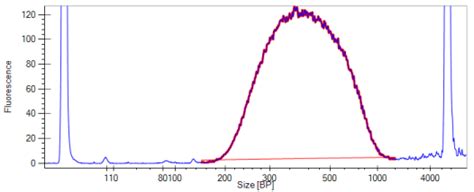 文库知多少——ngs文库质检解析片段