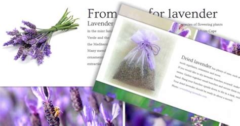 Escss Cómo Recrear En Puro Css El Efecto Scroll De La Nueva Web De E Bay Por Kseso