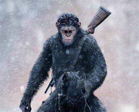 Create Meme Terry Notari Planet Of The Apes Planet Of The Apes 2 Caesar Planet Of The Apes