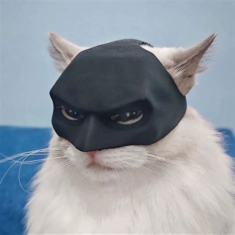 Halloween Black Bat Cat Avenger Mask Cosplay Hat Cat Funny Toys Cool