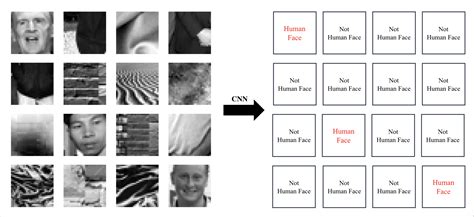 GitHub BrownTian DeepLearning BasicCNN HumanFaceRecognition This Repo Shows The Basic Code