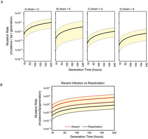 In Vivo Mutation Rates In M Tuberculosis Strains For Generation Times