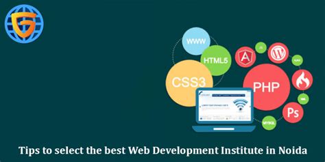 Tips To Select The Best Web Development Institute In Noida